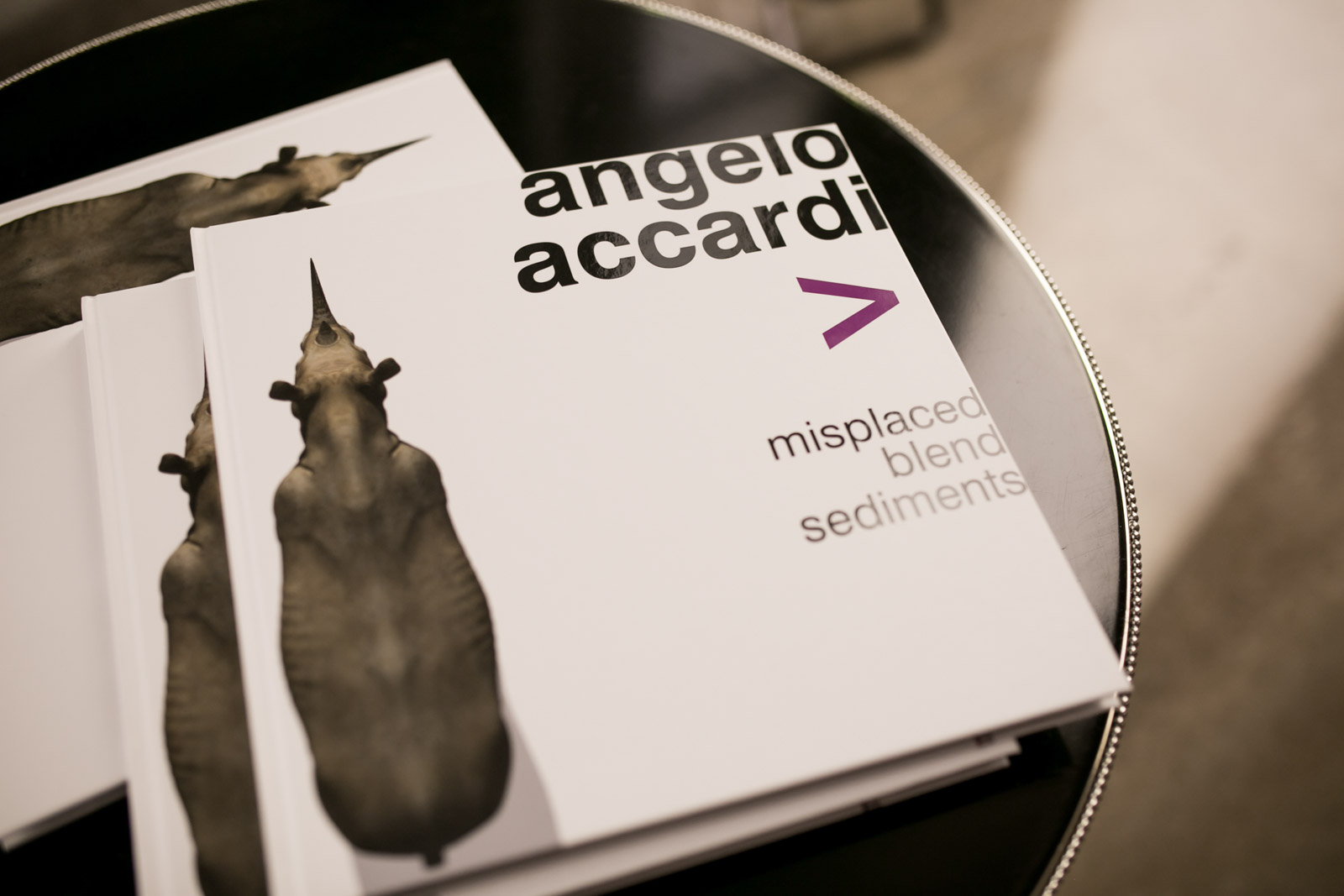 Angelo Accardi Exhibition Launch Supported by The Luxury Network Russia ...