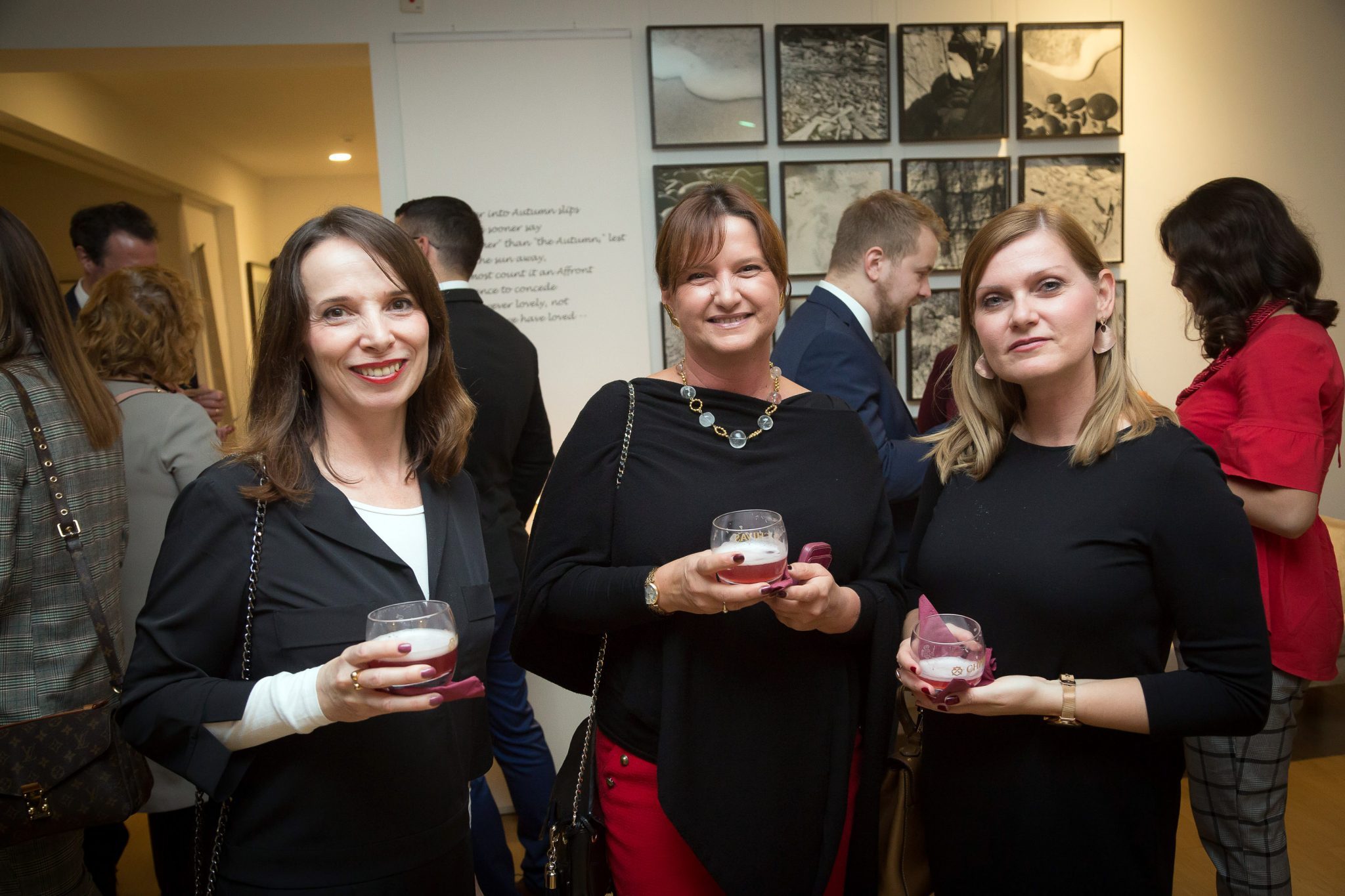 A Salute to TLN Adria Event at the Official Residency of H.E. Andrew ...